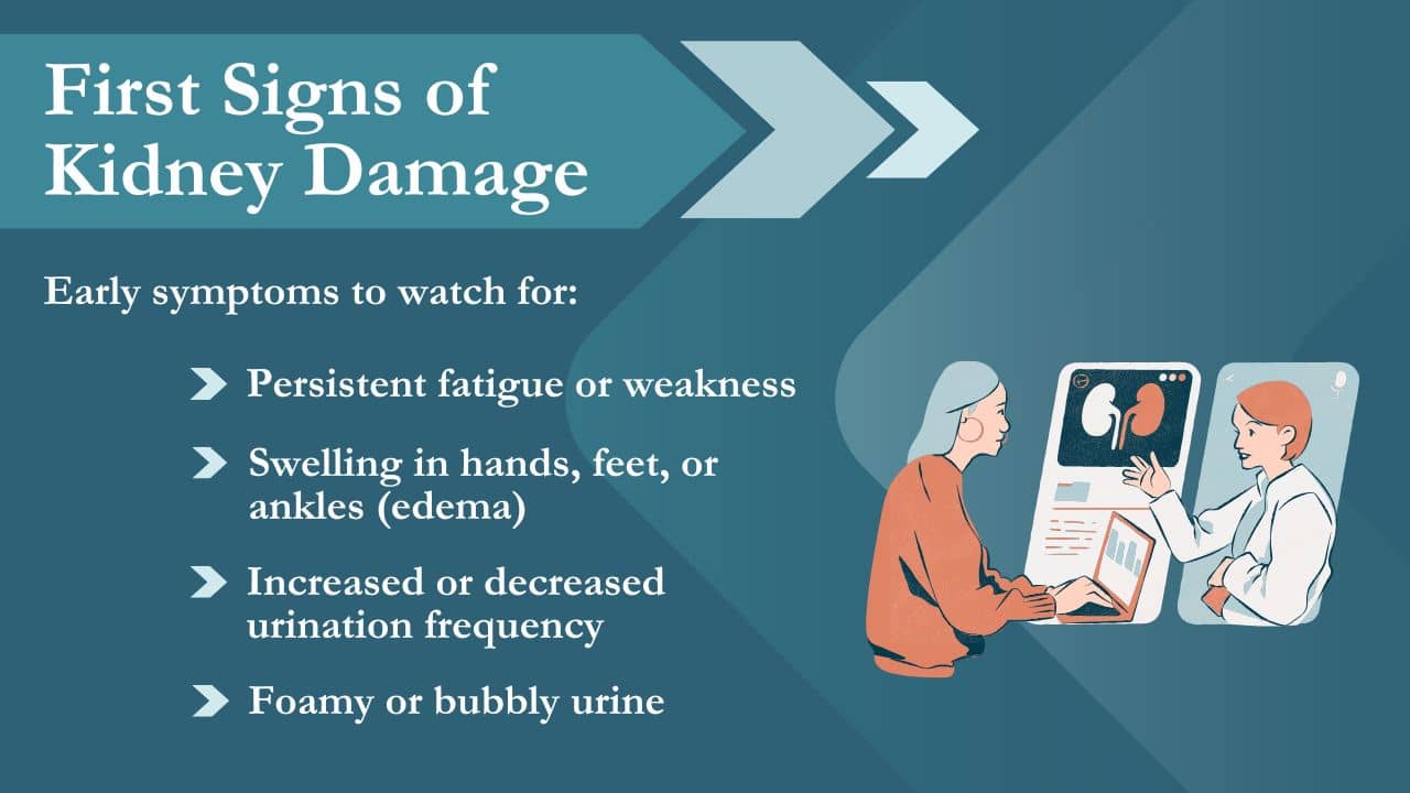 Kidney Pain After Drinking Alcohol: What Are the First Signs of Kidney ...