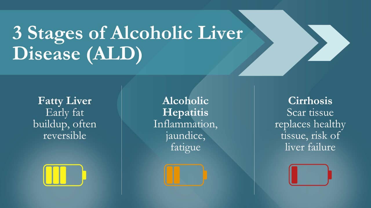 Signs Your Liver is Healing from Alcohol - Backed by Science