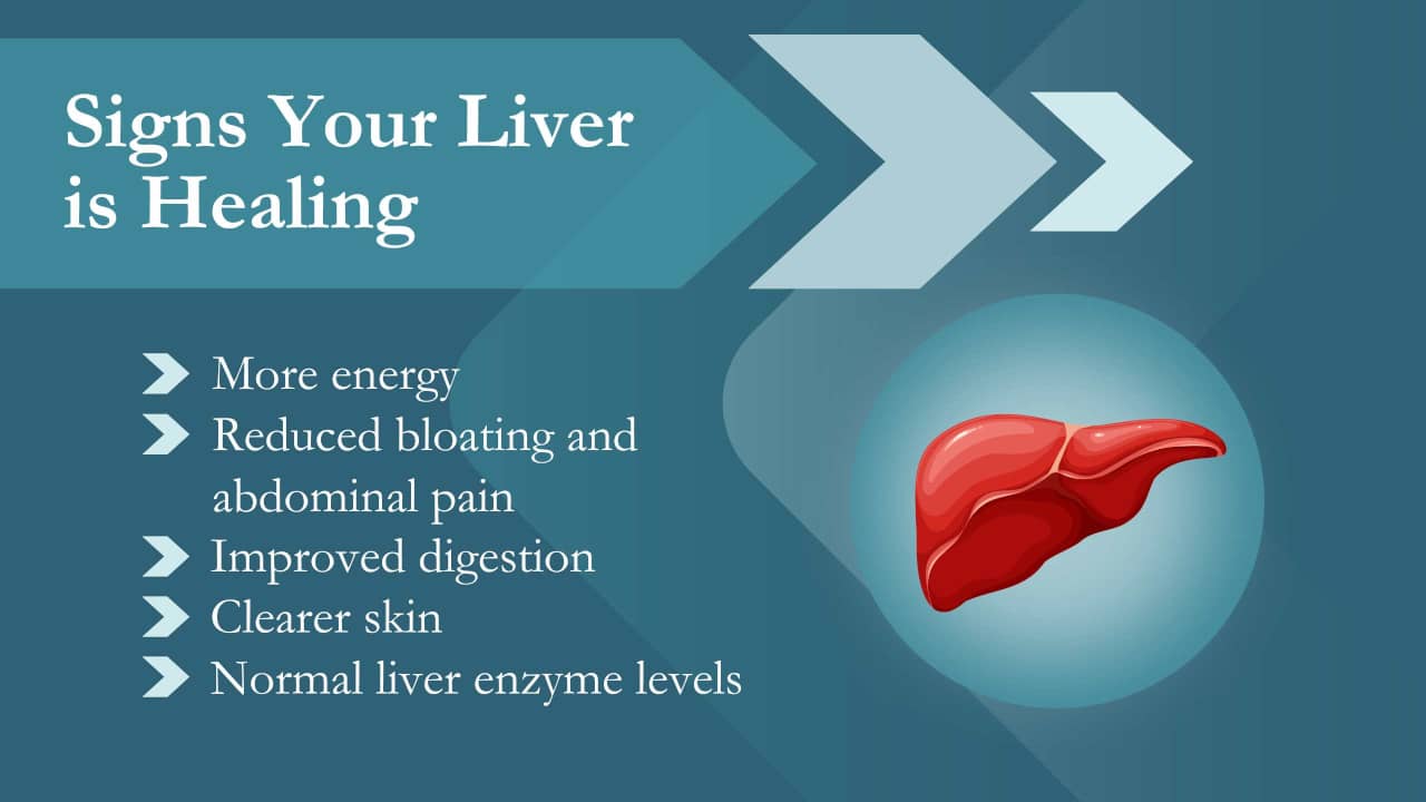 Signs Your Liver is Healing from Alcohol - Backed by Science